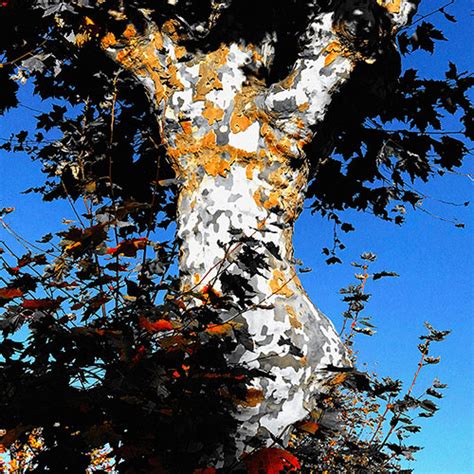 George Eugene Solomonides Photographer