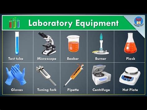 Laboratory Vocabulary 50 Laboratory Equipment Names Laboratory