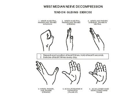 Printable Tendon Gliding Exercises