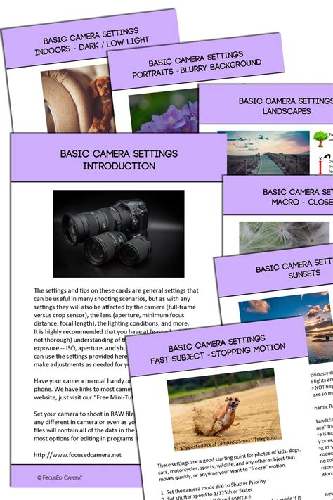 Basic Camera Settings Cheat Sheets For Beginner Photographers Etsy