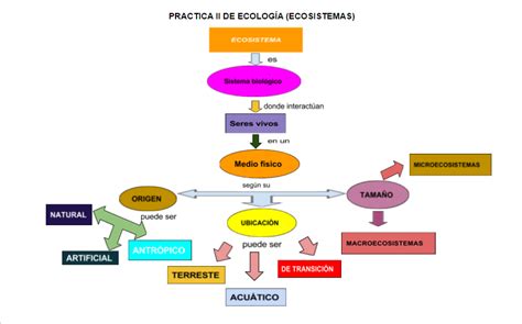 Biolog A Iv Mapa Conceptual De Ecosistemas