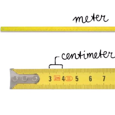 Meter To Cm