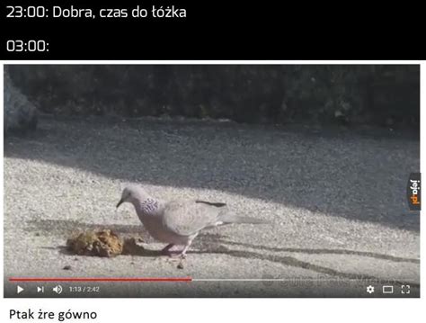Znowu w życiu mi nie wyszło Jeja pl
