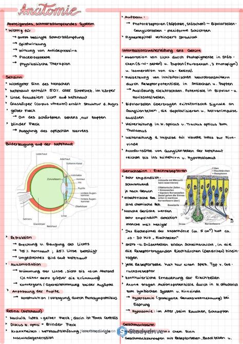 Anatomie und Physiologie Zusammenfassung ÄaÄÄääÄÄ Definition