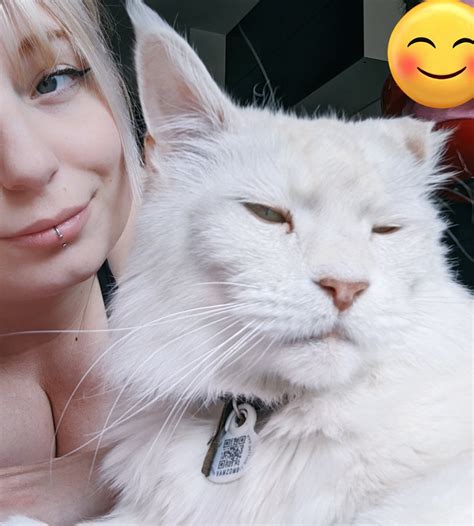 Monkey D Flowie on Twitter J suis pas sur qu avoir des chats ça