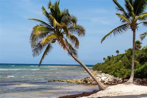 Riviera Maya Or Punta Cana The Honest Guide You Need 2024 Guide