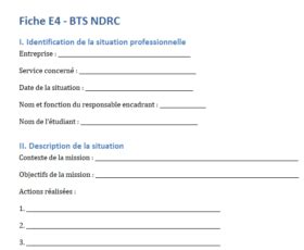 Exemple Fiche E4 Bts NDRC