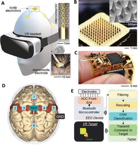preprocessing and classification of motor imagery brain signals with download scientific
