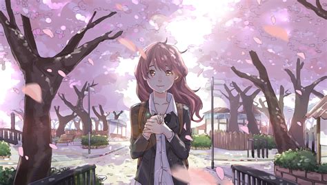 Shouko Nishimiya In Cherry Blossoms A Silent Voice HD Wallpaper