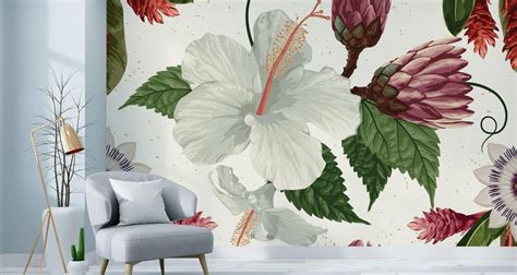 Muralo Fototapeta Do Salonu Biały Hibiskus Kwiaty Dekoracja Nowoczesna