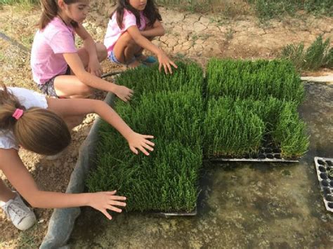 Fundación Savia Noticias LA FUNDACIÓN SAVIA PROPONE QUE SE PLANTE