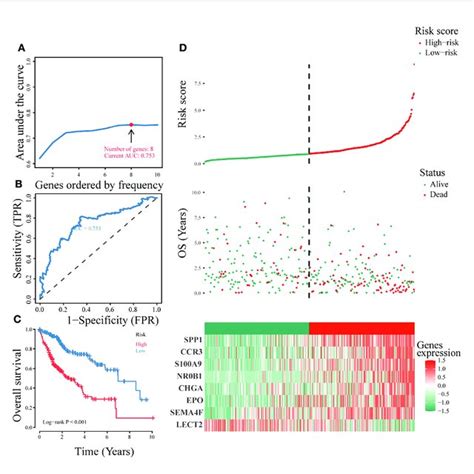 Construction Of The Optimal Immune Gene Signature Associated With
