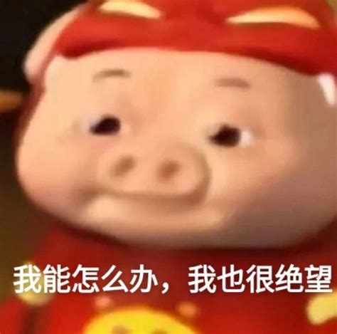 猪猪侠表情包来了 哎呀 我不是奥特曼 我是猪猪超人 我不行了