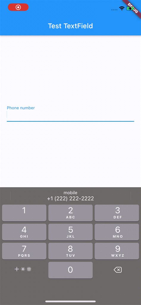 AutofillHints Suggestion Window And TextField Glitches When Pressing