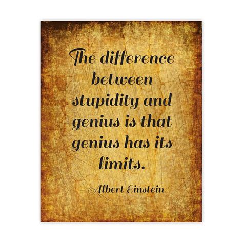 Buy Albert Einstein Difference Between Stupidity And Genius