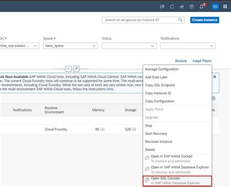 How To Manage Roles And Privileges For Users In Sap Hana Cloud