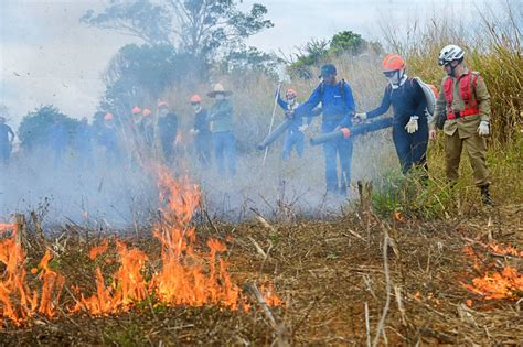 CBMGO promove treinamento para brigada de incêndio da UFG UFG
