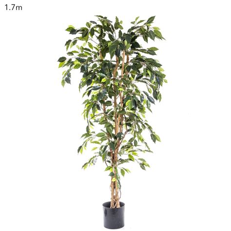 Ficus Tree 170cm Artificial Tree Realistic Silk Trees And Plants