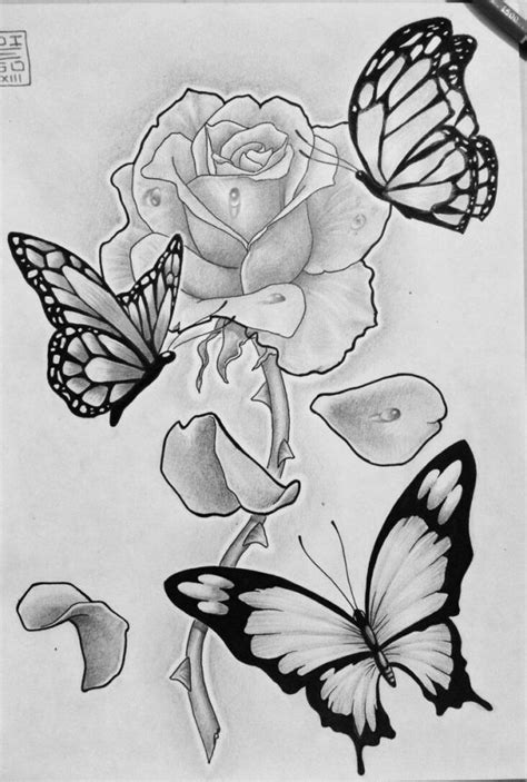 40 Beautiful Simple Butterfly Drawings In Pencil Hobby Lesson Rose