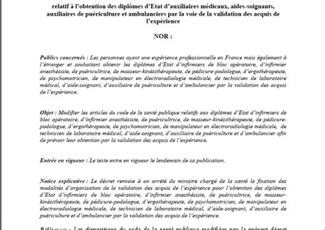 Projet Professionnel Document Manuscrit Aide Soignante Exemple