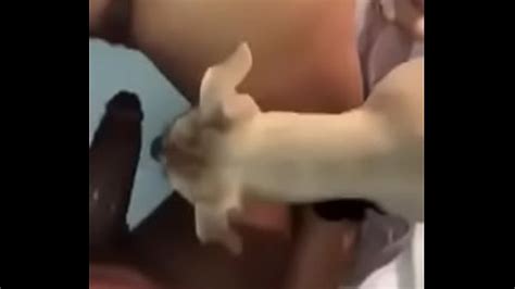 Videos De Sexo Mujeres Teniendo Relaciones Con Perros Pastores Alemanes