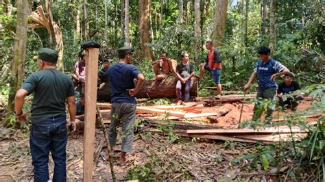 KPH Pogogul Buol Dan KPH Gunung Dako Toli Toli Amankan 2 Babuk Chainsaw