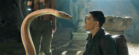 Python Island