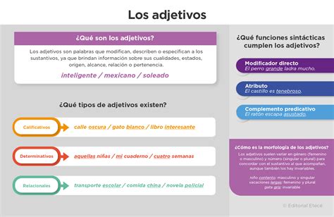 Tipos De Adjetivos Ejemplos Y Oraciones Lenguaje