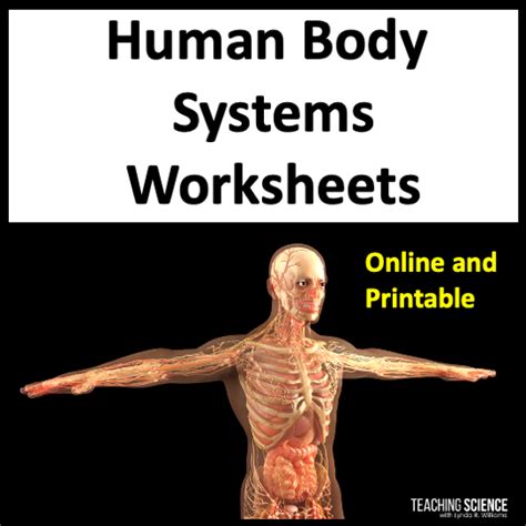 Human Body Systems Worksheets Anatomy Science Diagrams No Prep