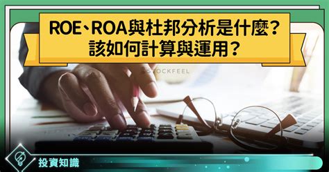 Roa Roa Roe Stockfeel