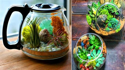 Terrário Como fazer e modelos incríveis abertos e fechados para decorar