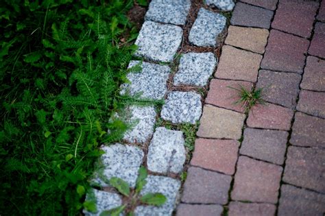 Posyp szczeliny w kostce brukowej Chwasty i mech znikną z oczu o2