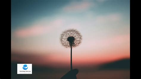MEDITACIÓN GUIADA para la ANSIEDAD y ESTRÉS 5 minutos de Mindfulness