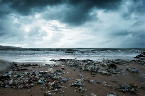 Cómo afectan los problemas ambientales a la sociedad 5 formas