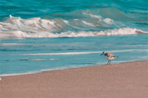 Consejos Para Mantener Las Playas Limpias Blog FIATC