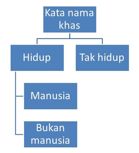Kata Nama Am Hidup Manusia Coltenecadams