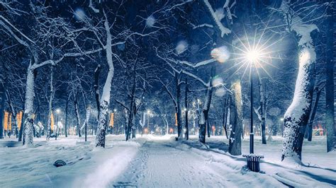 冬夜公园铺满了雪的街道和树木自然景观图片下载 觅知网