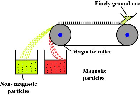 Draw A Neat Labelled Diagram Magnetic Separation Method