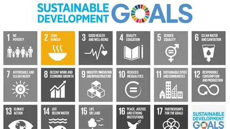 Sdg Zero Hunger The Future Of Food Alliance