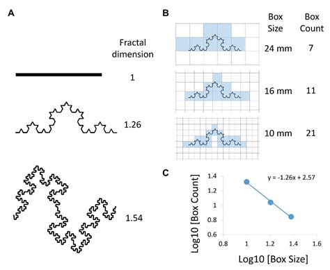 frontiers fractal analysis of lung structure in chronic obstructive pulmonary disease