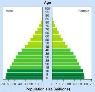 Lecture Population Growth And Regulation Flashcards Quizlet