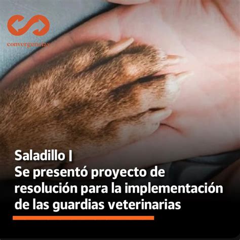 Saladillo Se presentó proyecto de resolución para la implementación