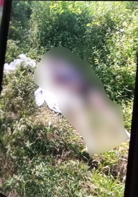 Macabro Así fue como encontraron los cuerpos de jovencitos que