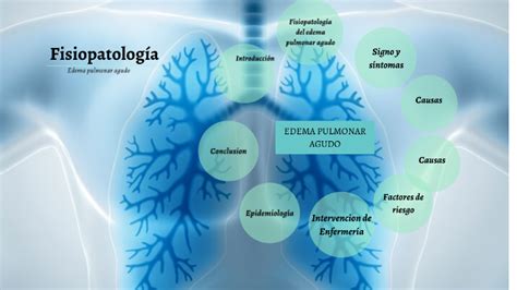 Edema Pulmonar Agudo By Fernanda Paz Bestrin Olea On Prezi