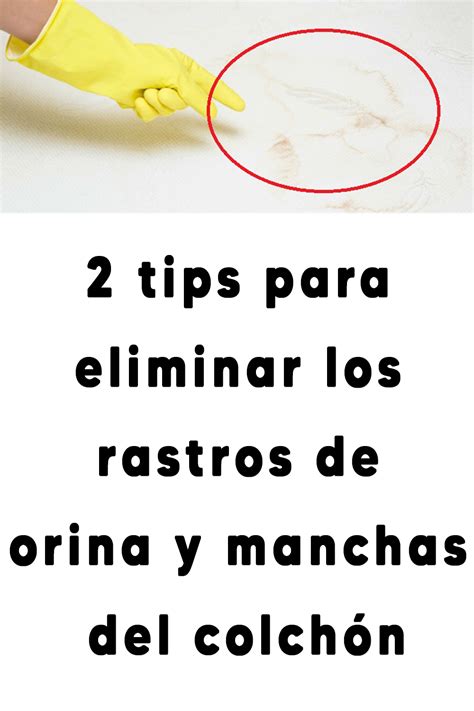2 tips para eliminar los rastros de orina y manchas del colchón