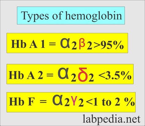 Hemoglobin Part Hemoglobin Hb Structure And Functions