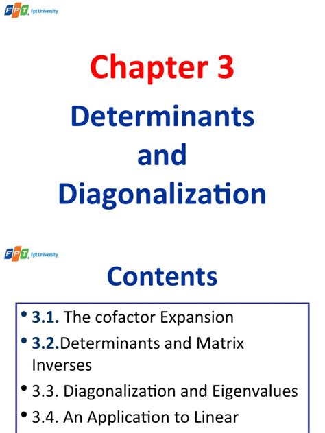 determinants and diagonalization pdf determinant matrix mathematics