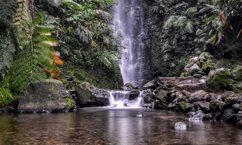 10 Tempat Camping Di Subang Yang Recommended Info Area