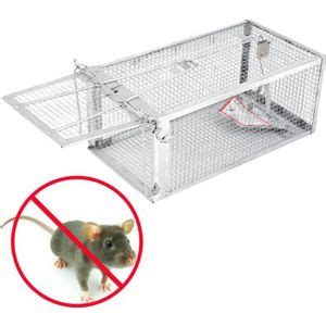 Piege Souris Fait Maison Ventana Blog